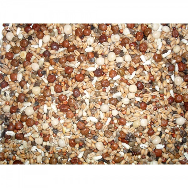 Johnston & Jeff Four Seasons Corn Pigeon Food 20kg - horse and hoof