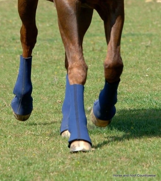 Equilibrium Equi-Chaps Hardy Chaps - horse and hoof