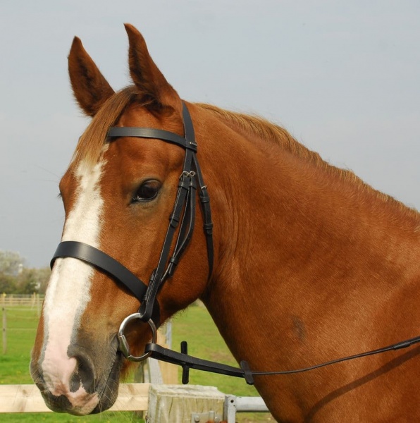 Heritage - English Leather Hunter Bridle With Wide Cavesson Noseband ...