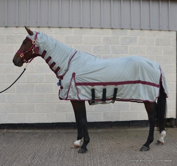 Fly Rugs - horse and hoof