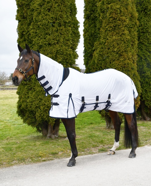 Rhinegold Africa Combo Fly Rug - horse and hoof