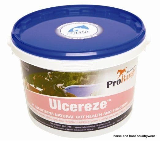 Brinicombe Prorange Ulcereze - horse and hoof