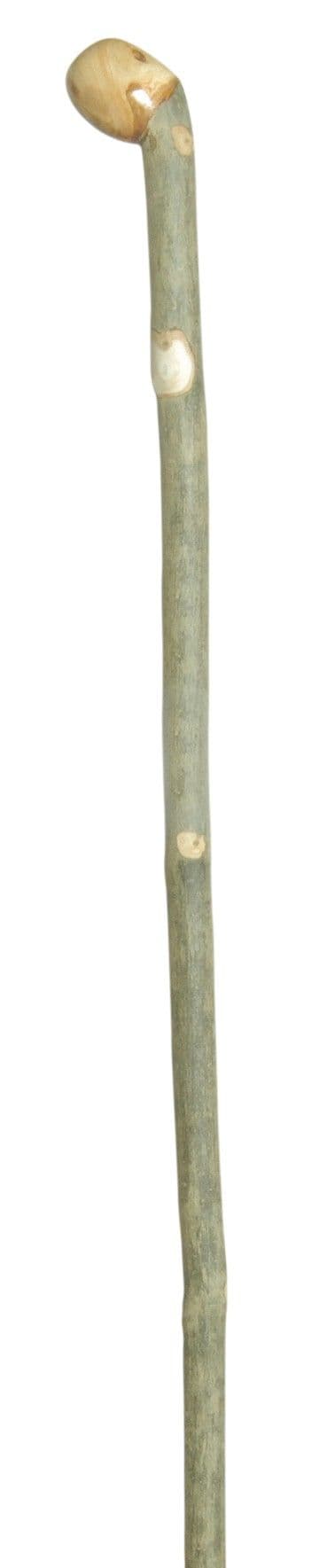 Classic Canes Extra Long Ash Coppice Knobstick - horse and hoof