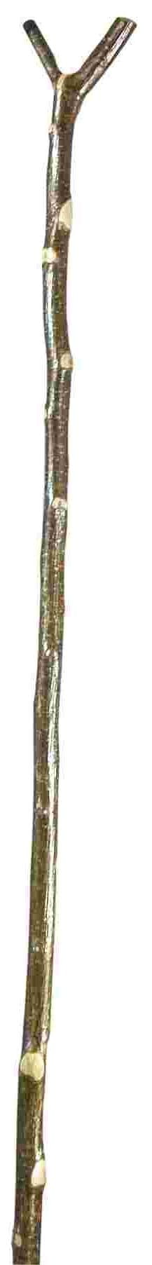 Classic Canes Hazel Thumbstick - horse and hoof