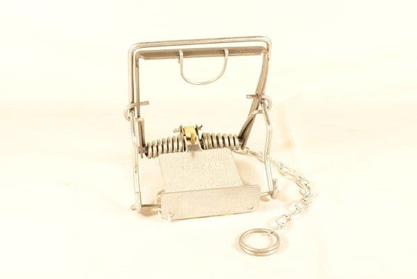 David Nickerson Vermin Trap No4 - horse and hoof