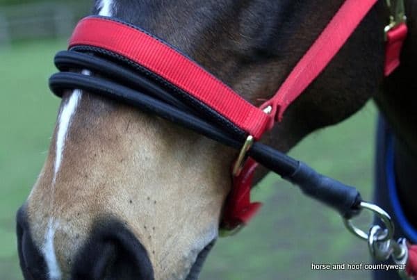 Ezyloader - horse and hoof