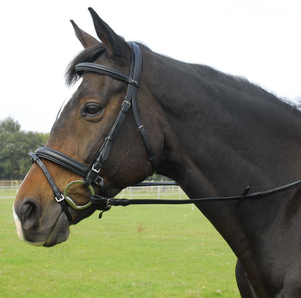 Heritage English Leather Comfort Bridle With Flash Noseband - horse and ...