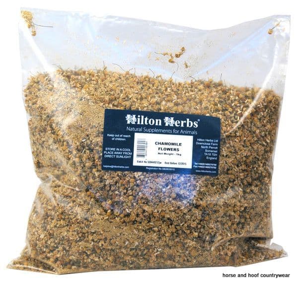 Hilton Herbs Chamomile Flowers - horse and hoof