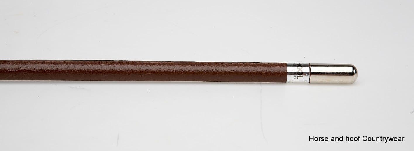 HySCHOOL Show Cane - horse and hoof