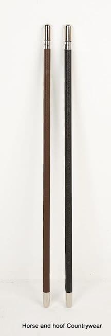 HySCHOOL Show Cane - horse and hoof