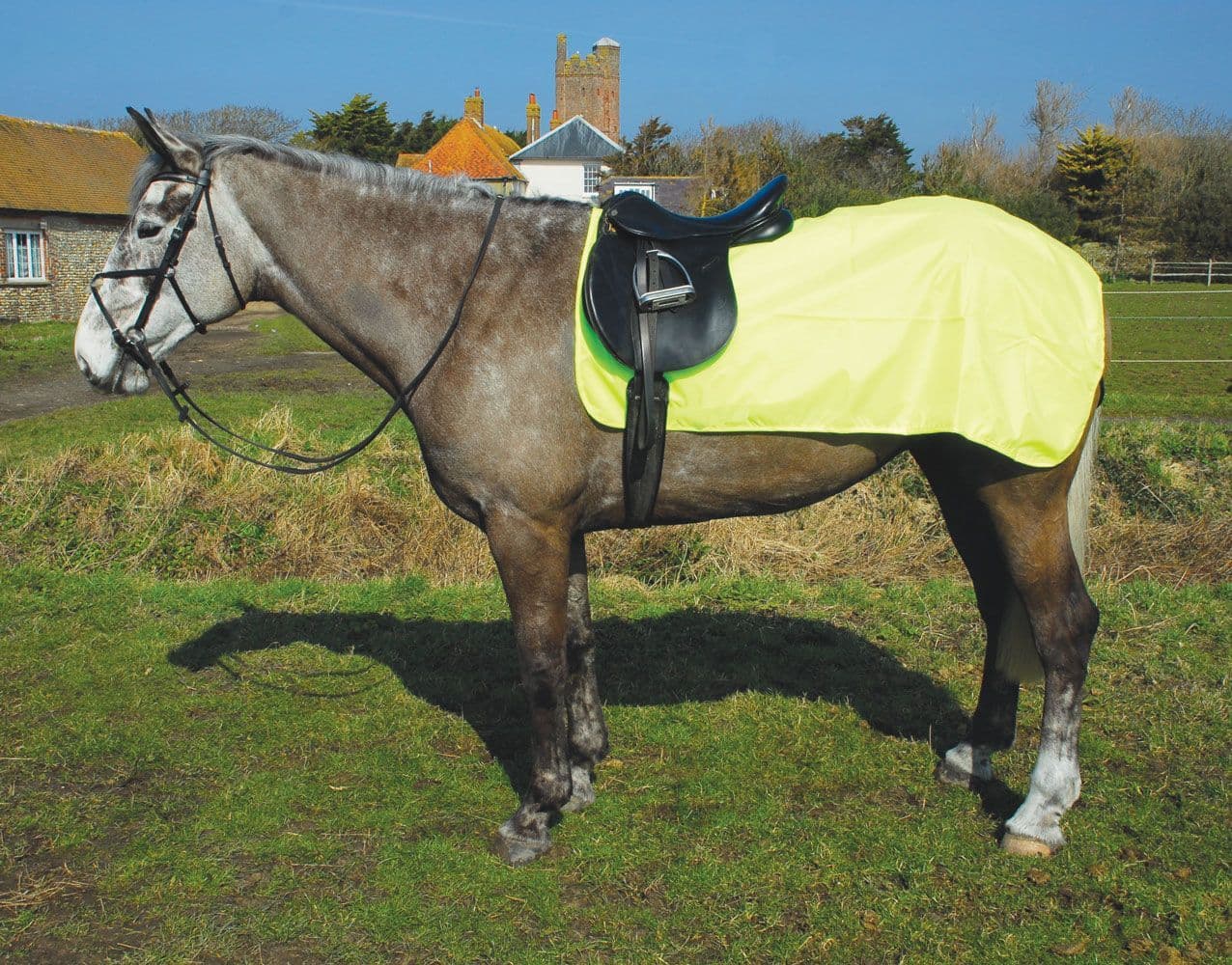 Rhinegold 3/4 Ride-On Rug - horse and hoof