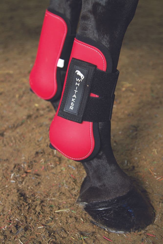 Whitaker - Tendon & Fetlock Boot Set - horse and hoof