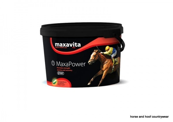 Maxavita Maxapower - horse and hoof